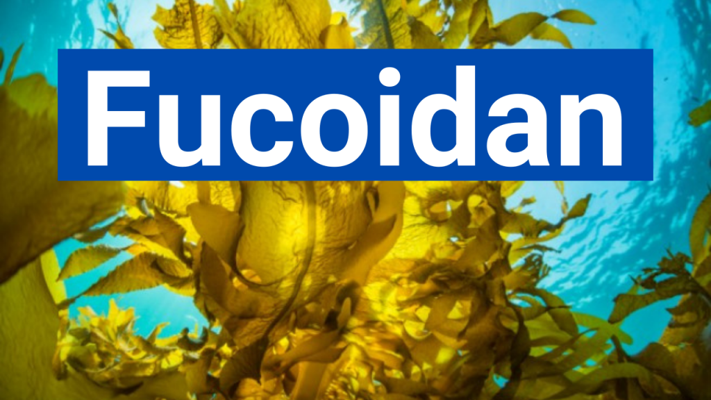 Fucoidan là gì? - Sinh Học Online